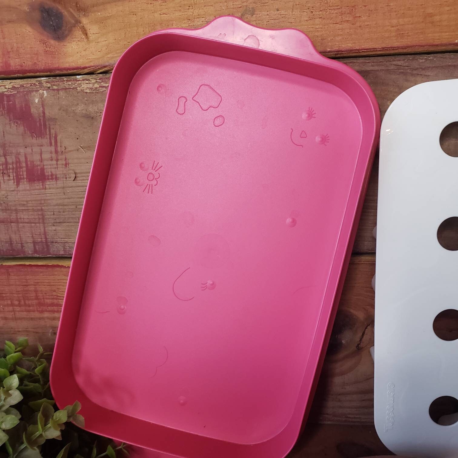 Tupperware Animal Wigglers Jello or Cookie Mold 2553a-1 23 - Etsy