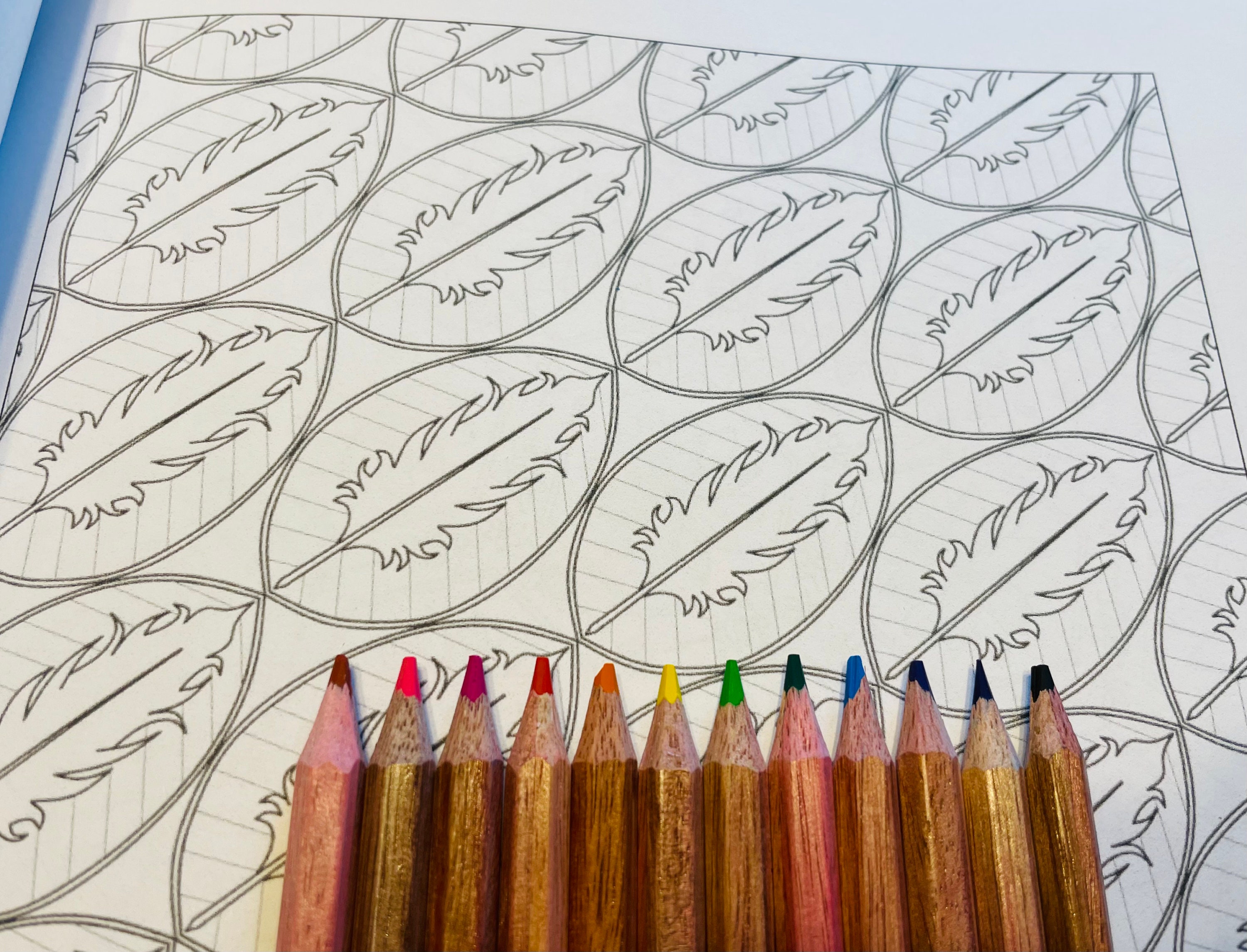Elations: A Tessellation Coloring Book - Etsy