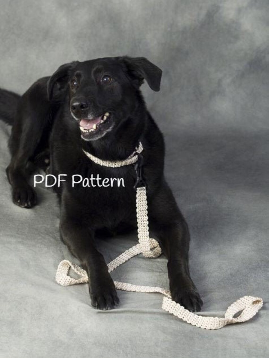 Dog Leash Collar Pattern, Dog Accessories, Easy Crochet, PDF Instant ...