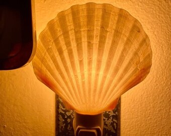Red Abalone Sea SHELL Nautical Beach Decor NIGHTLIGHT - Etsy