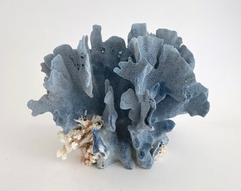 Blue Coral | Etsy