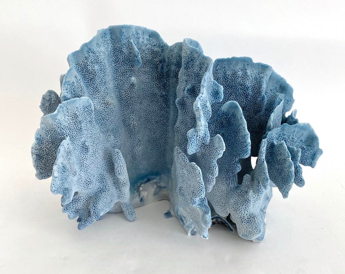Natural Blue Coral Specimen Coastal Home Decor Beach House - Etsy