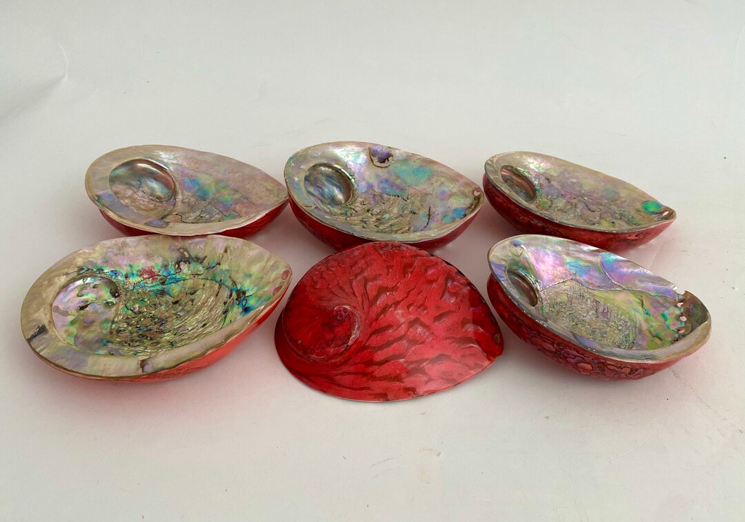 Dyed Red Abalone Shells - Etsy