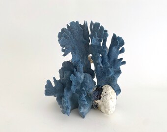 Blue Coral | Etsy
