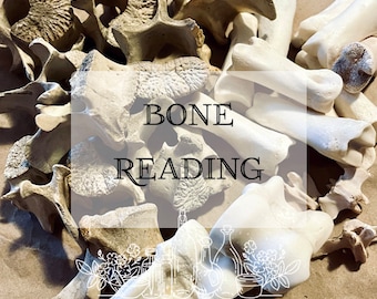 Pocket Osteomancy: A Simple Bone Divination Set Paperback - Etsy
