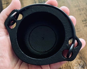 Fake Cast Iron Plant - Etsy