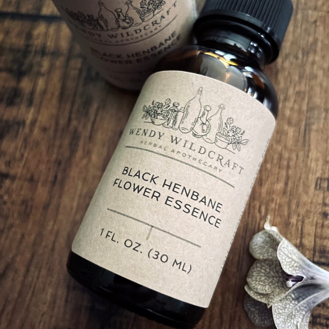 Black Henbane Flower Essence Hyoscyamus Niger - Etsy