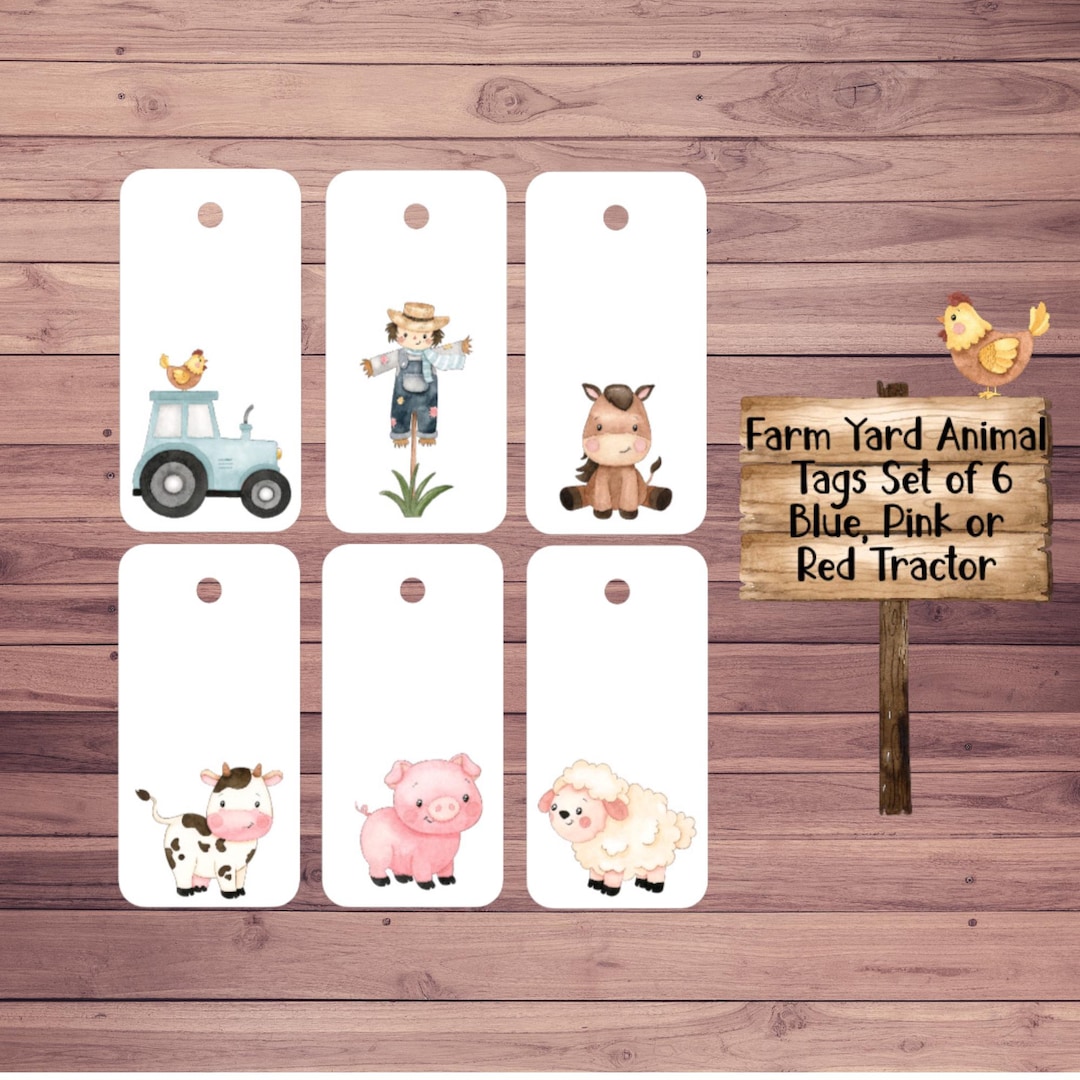 Farm Yard Animal Theme Gift Tags, Set 6 Tags, Birthday Gift Tags, Blue ...