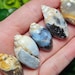 Spiralite Agatized Fossil Seashell: Chalcedony Crystal Shell - Etsy