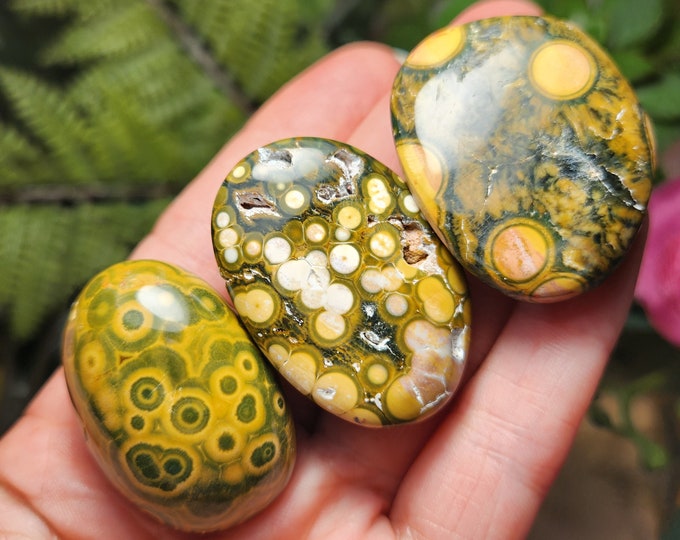 Golden Orbicular Ocean Jasper Palm Stone: Polished Madagascar Jasper ...