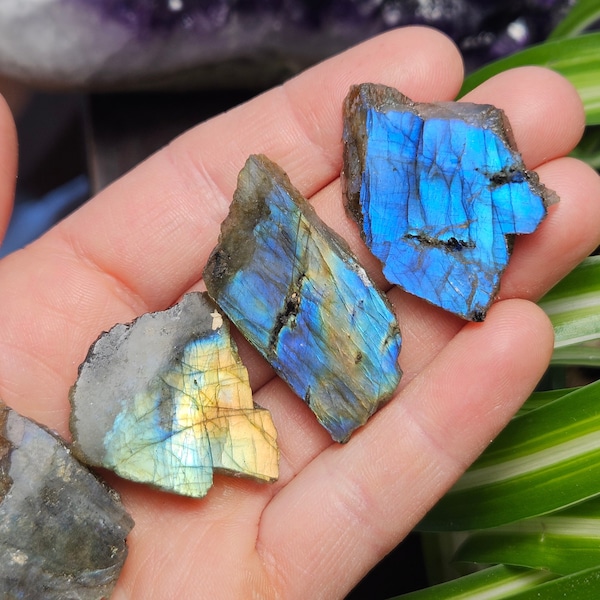 Labradorite Slab - Etsy