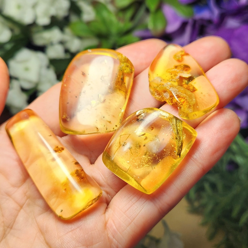 Polish Amber Insect - Etsy