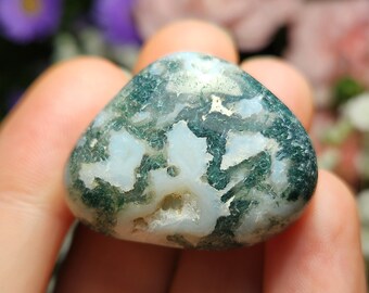 Tree Agate Crystal / Tumbled Tree Agate / Tree Agate Stone / Polished Tree Agate / Tumbled ...