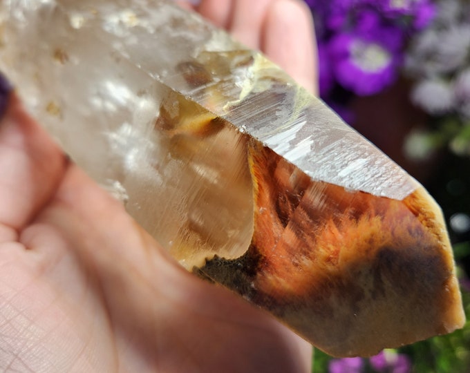 Angel Phantom Quartz / Amphibole Quartz / Amphibole Angel Phantom ...