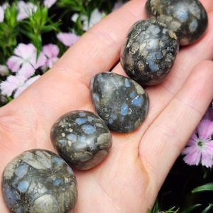 Que Sera Stone - Glaucophane - Que Sera - Que Sera Crystal - Que Sera ...