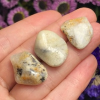 Botryoidal Kidney Iron Ore - Etsy