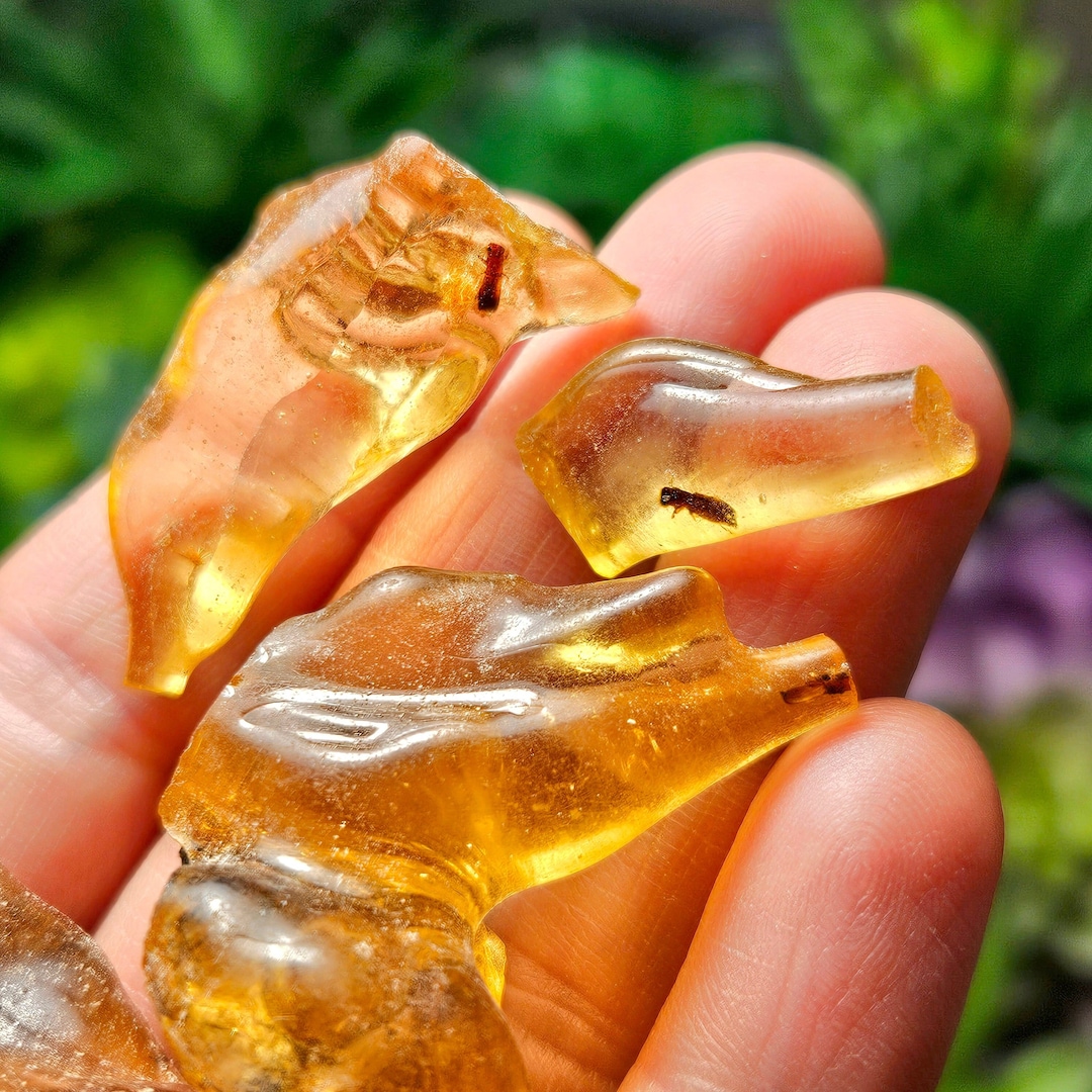 Amber With Insects - Natural Amber - Raw Amber - Amber With Bug - Amber ...