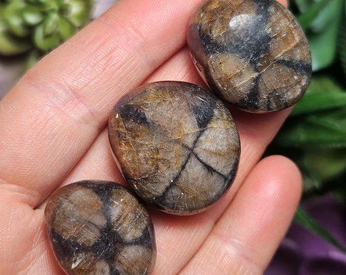 Chiastolite Crystal - Andalusite Crystal - Cross Stone - Andalusite ...