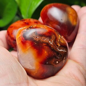 Carnelian Palm Stone - Carnelian Polished - Tumbled Carnelian - AA ...
