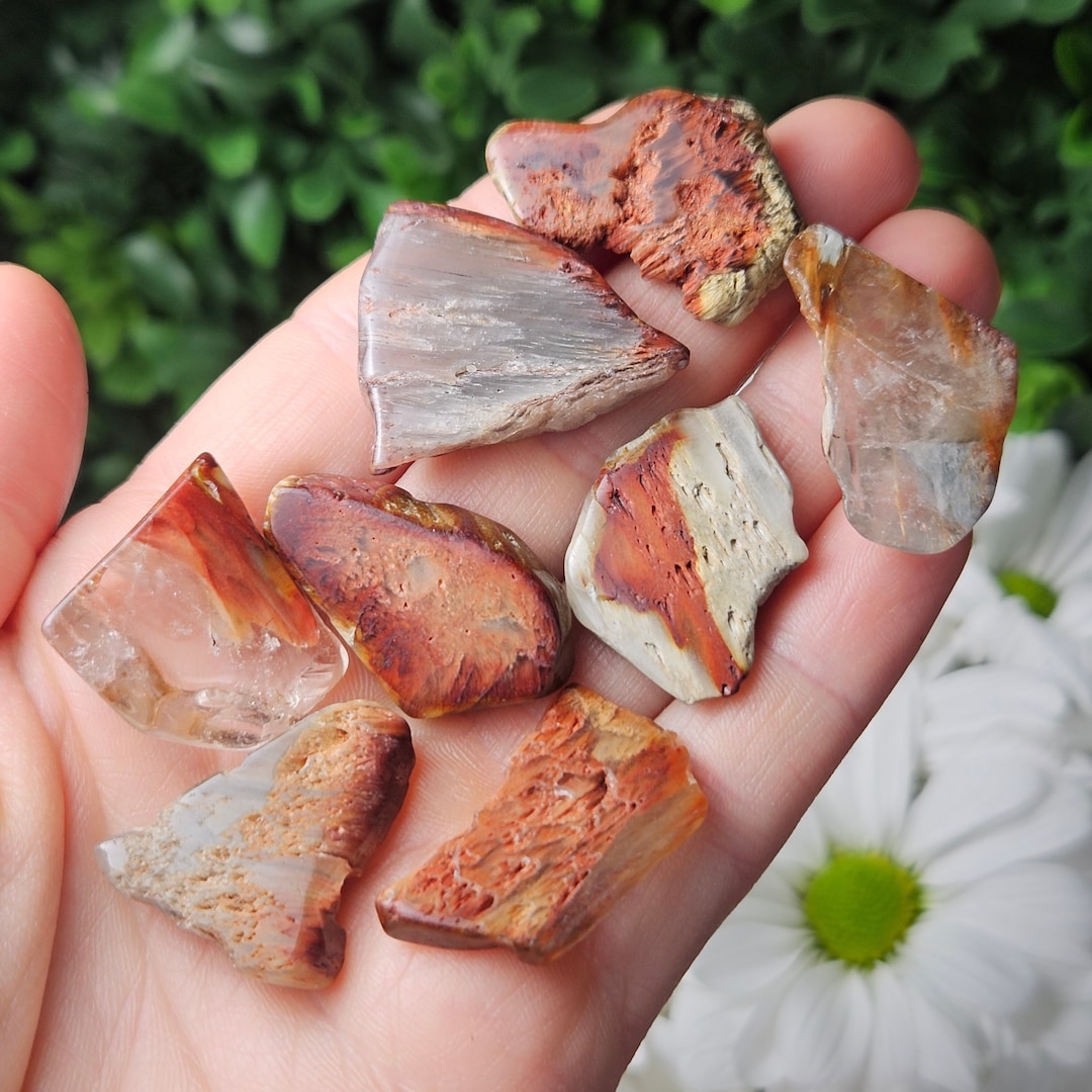 Angel Phantom Quartz Crystal Amphibole Quartz Amphibole Angel Phantom ...