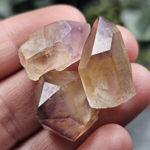 Trapiche Gold Amethyst Quartz - Ametrine Trapiche - Phantom Crystal ...