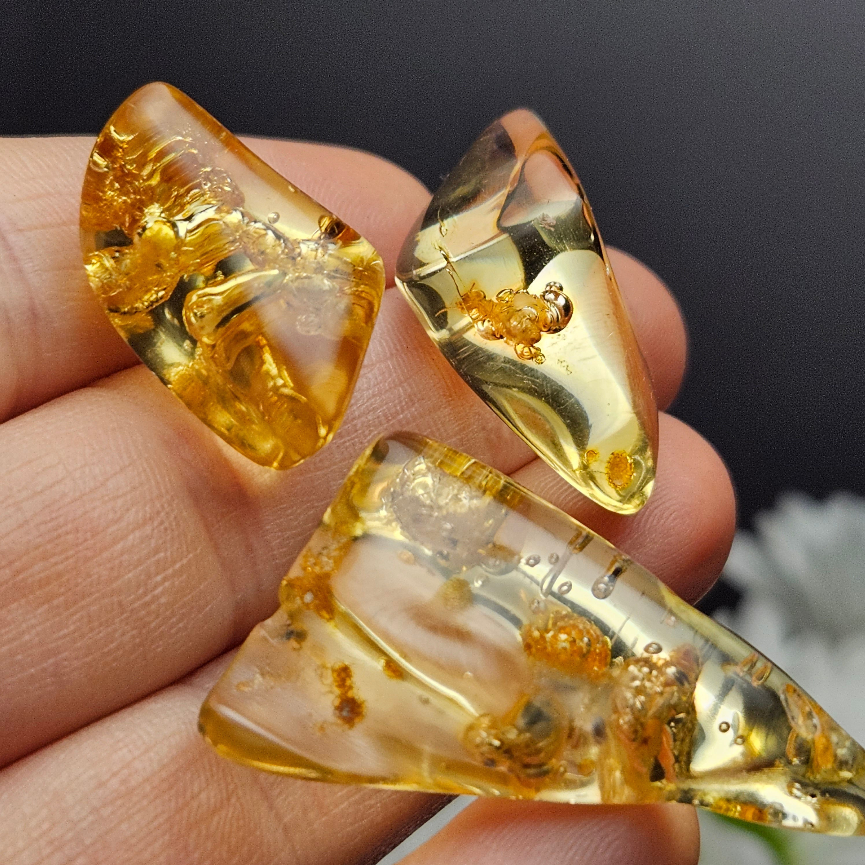Amber With Bugs & ENHYDRO - Natural Amber - Static ENHYDRO - Amber With ...