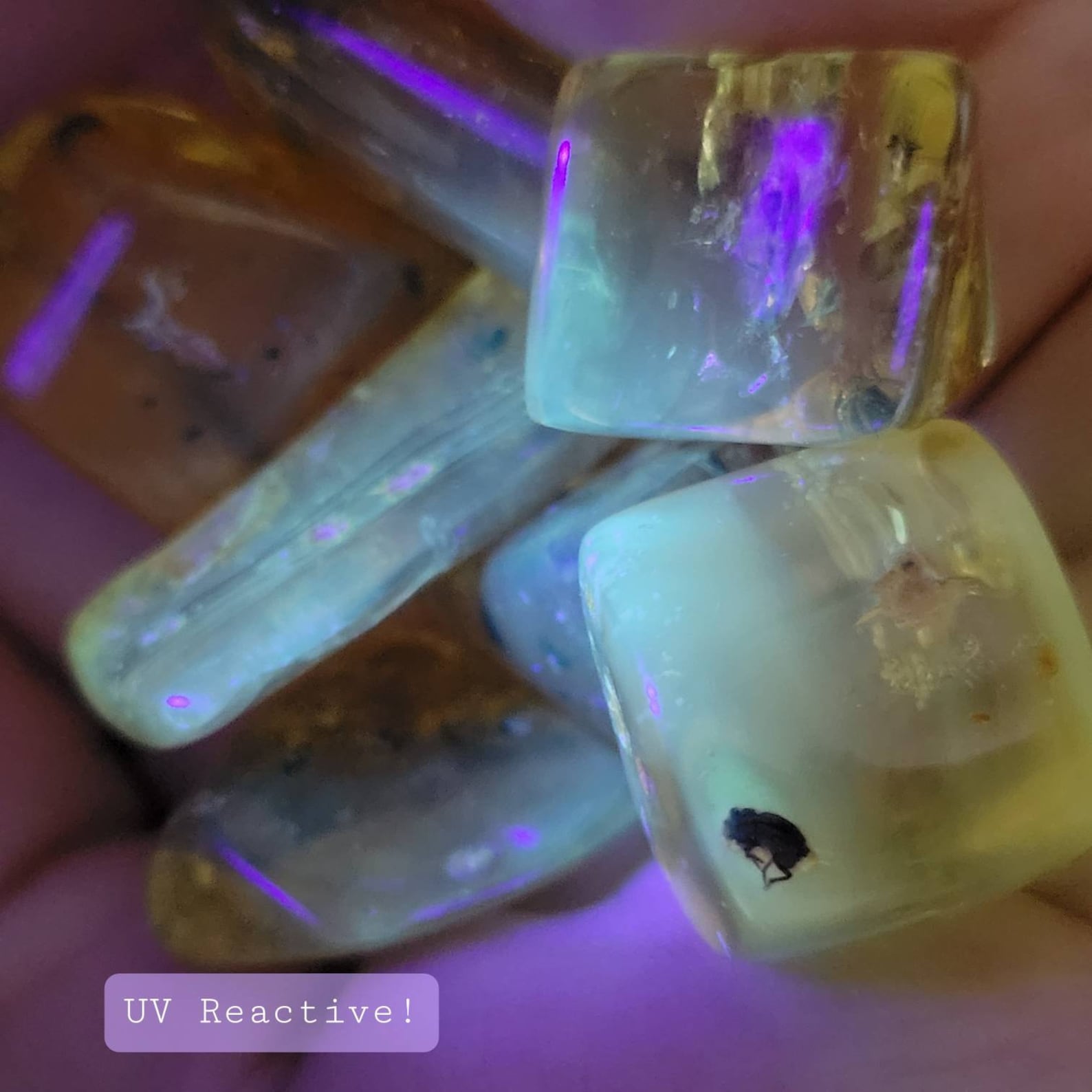 Amber With Bugs - Natural Amber - Amber With Insects - Insect Inclusion ...