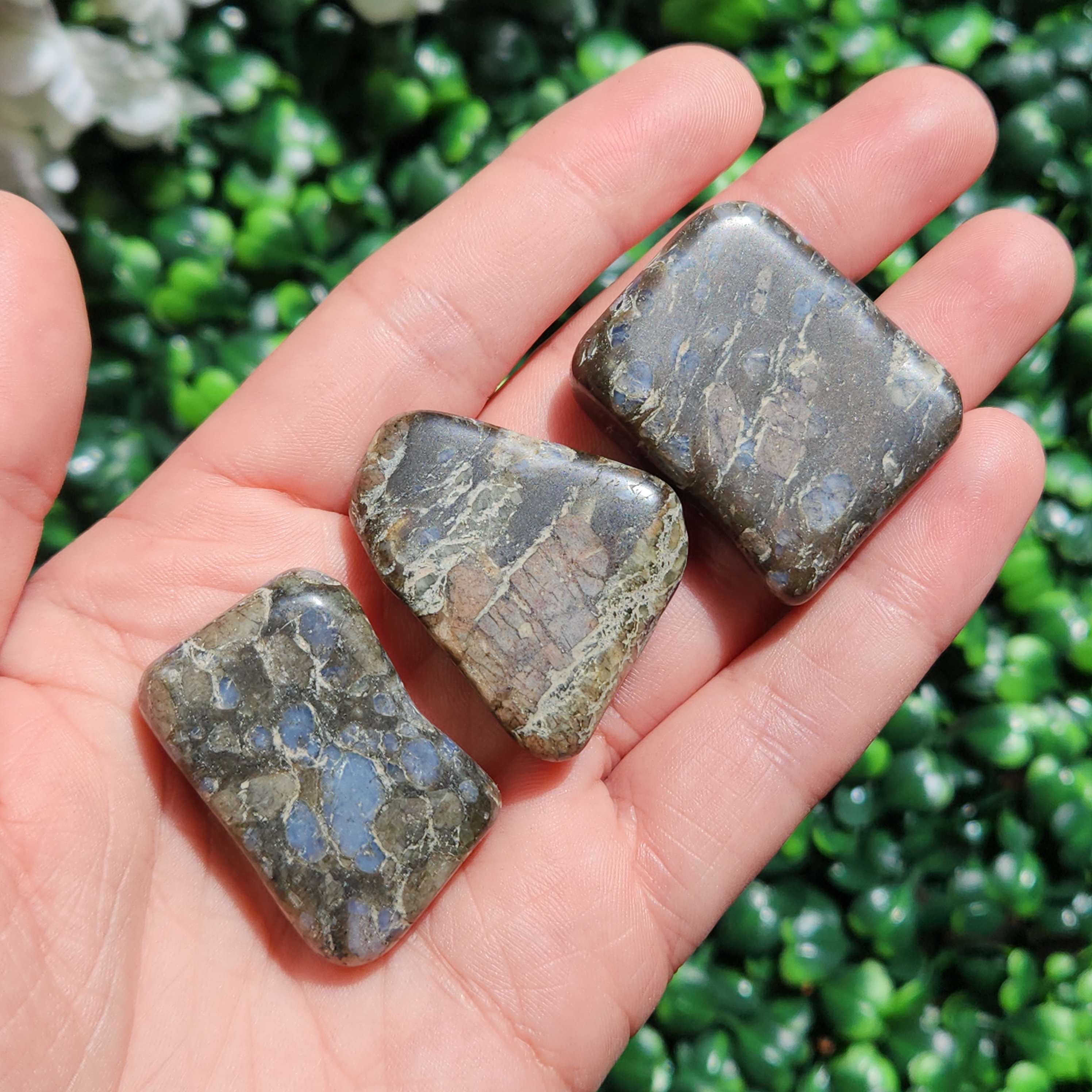 Que Sera Stone - Glaucophane - Que Sera - Que Sera Crystal - Que Sera ...