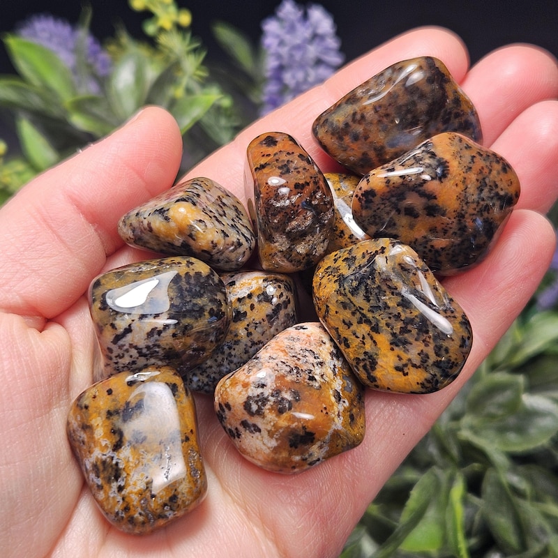Brazilian Agate Specimen - Etsy