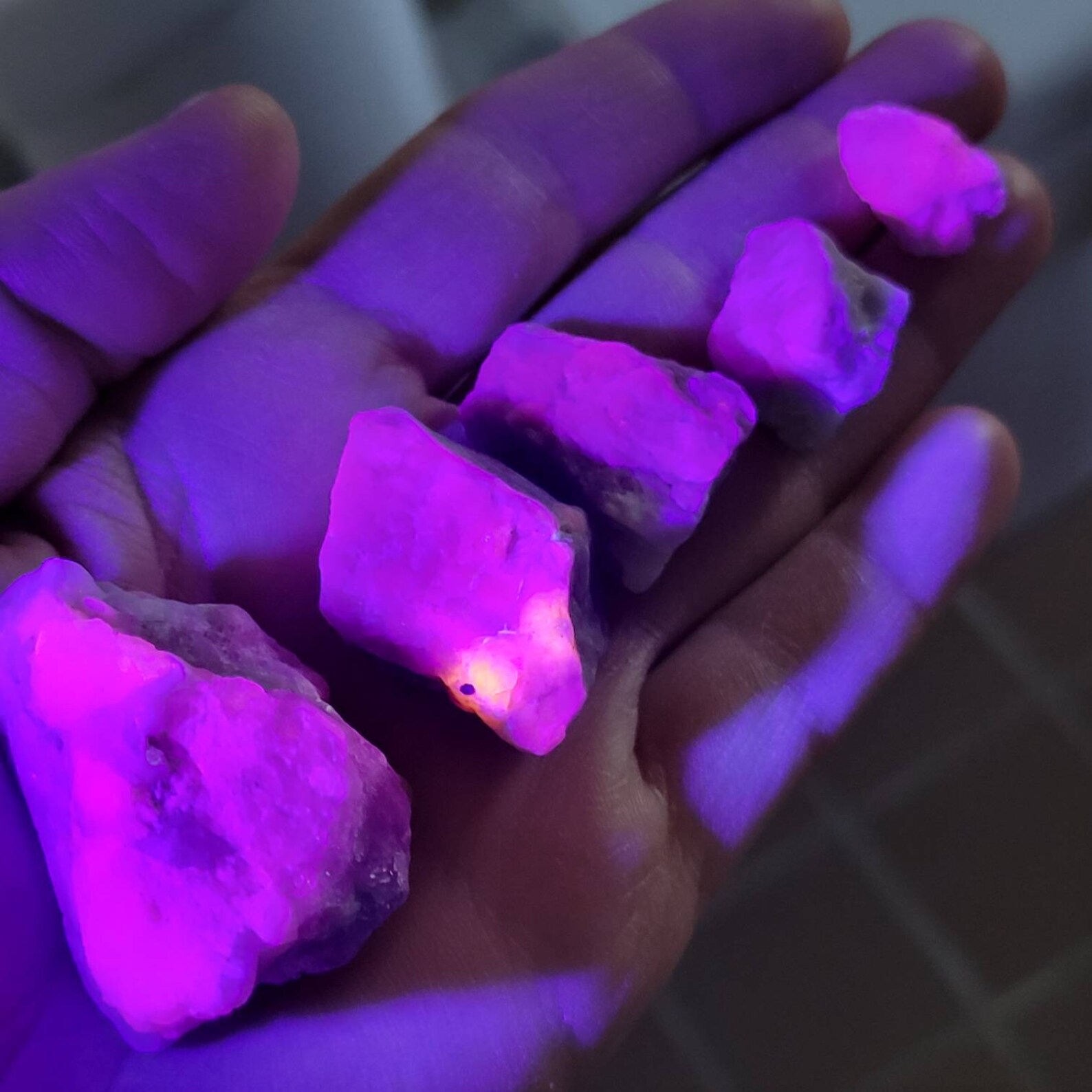 Hackmanite Crystal / Hackmanite Freeform / Hackmanite Palm - Etsy