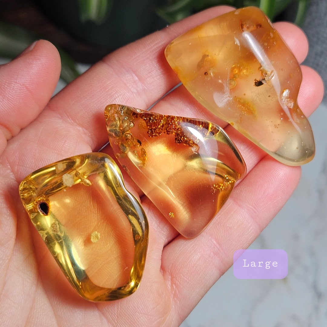 Amber With Bugs, Natural Amber - Amber With Insects - Insect Inclusion ...