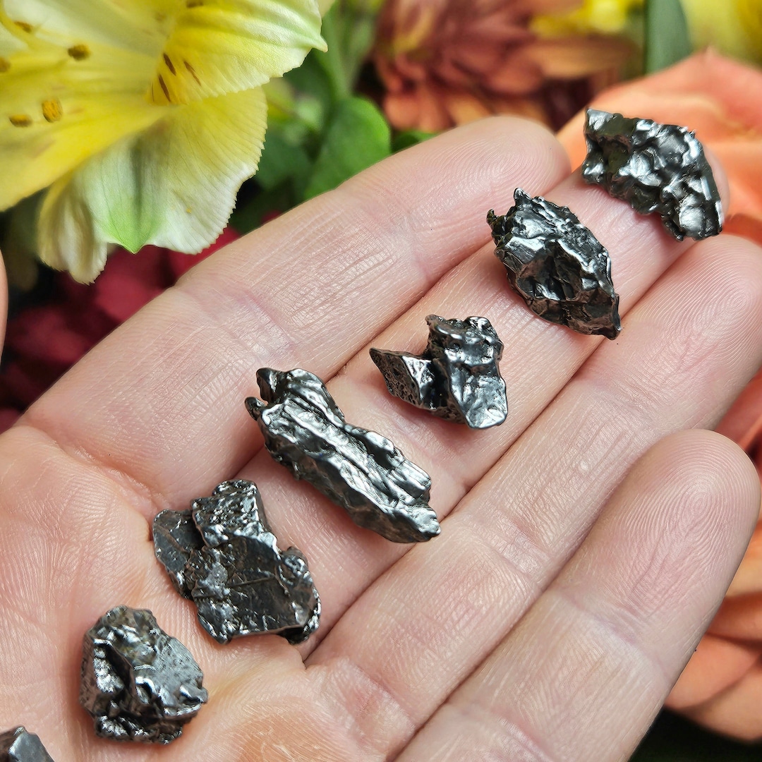 Meteorite Specimen: Raw Argentinian Iron Meteorite, Campo Del Cielo - Etsy