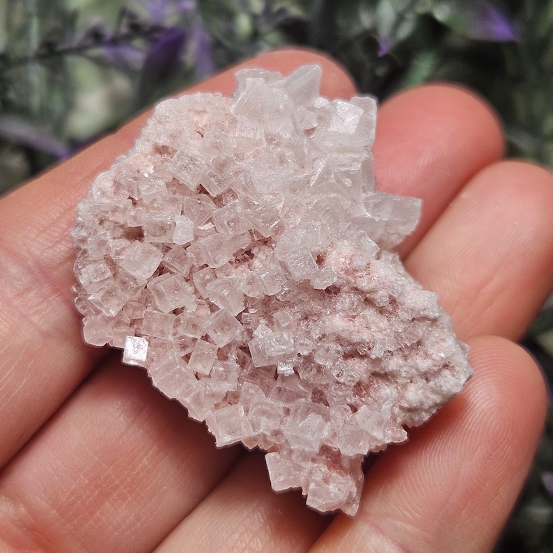 Geometric Halite Crystals, California Halite Mineral Specimens - Etsy