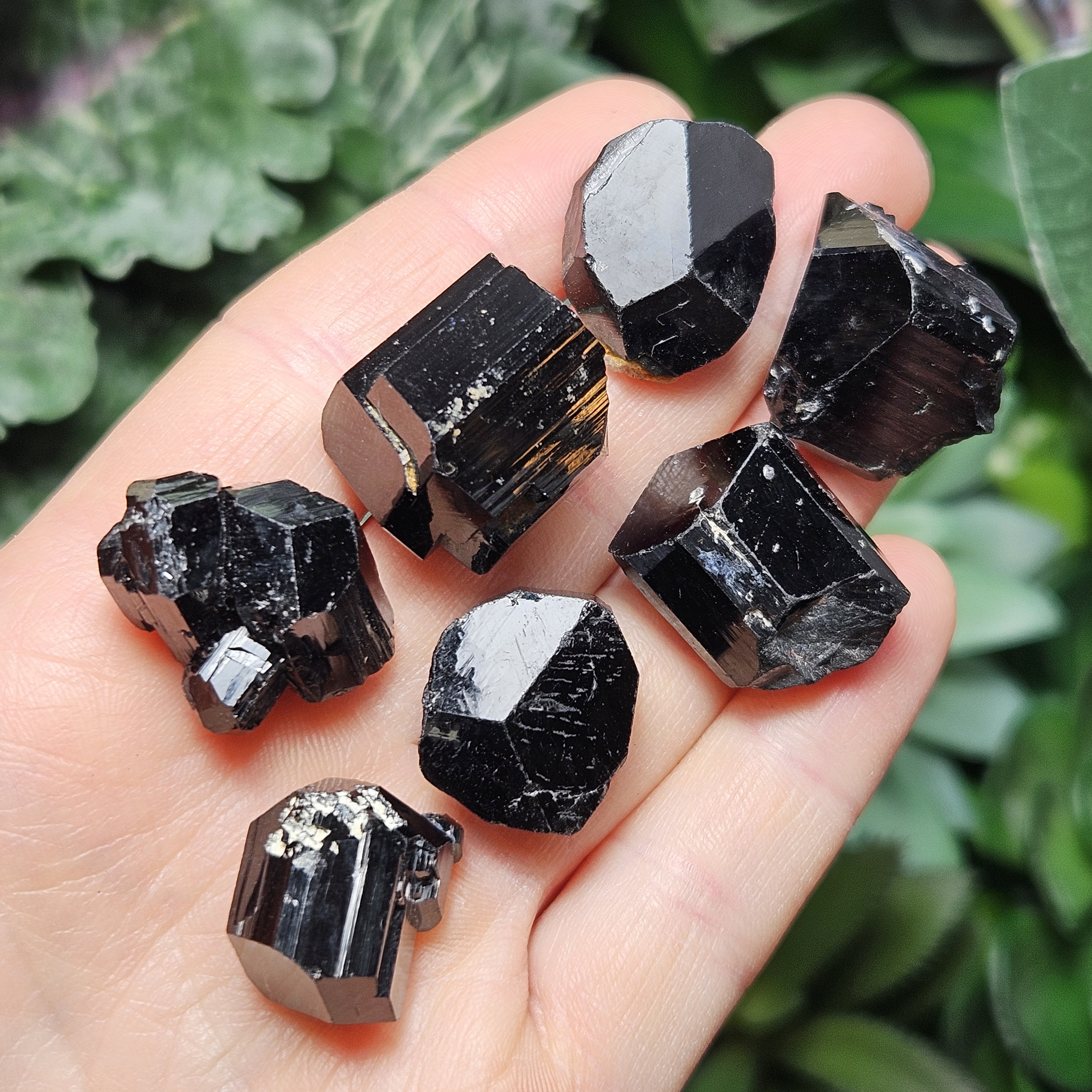 Black Tourmaline Crystal, AAA Erongo Tourmaline From Namibia ...