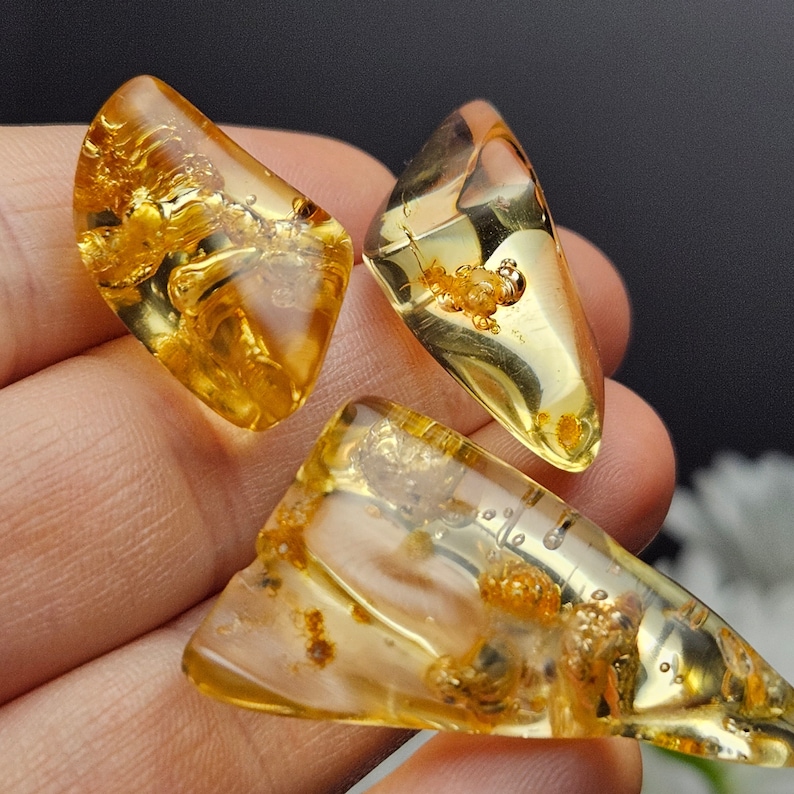 Amber With Bugs Specimen - Polished Amber With Insect & Static Enhydro ...