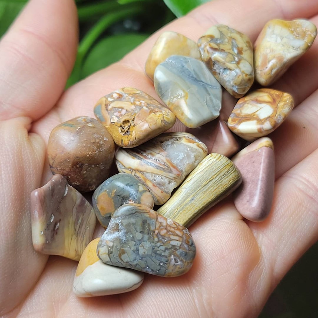 Ibis Jasper Crystal - Polished Ibis Jasper - Ibis Jasper Palm Stone ...