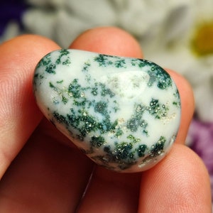 Tree Agate Crystal - Tumbled Tree Agate - Tree Agate Stone - Polished Tree Agate - Tumbled ...