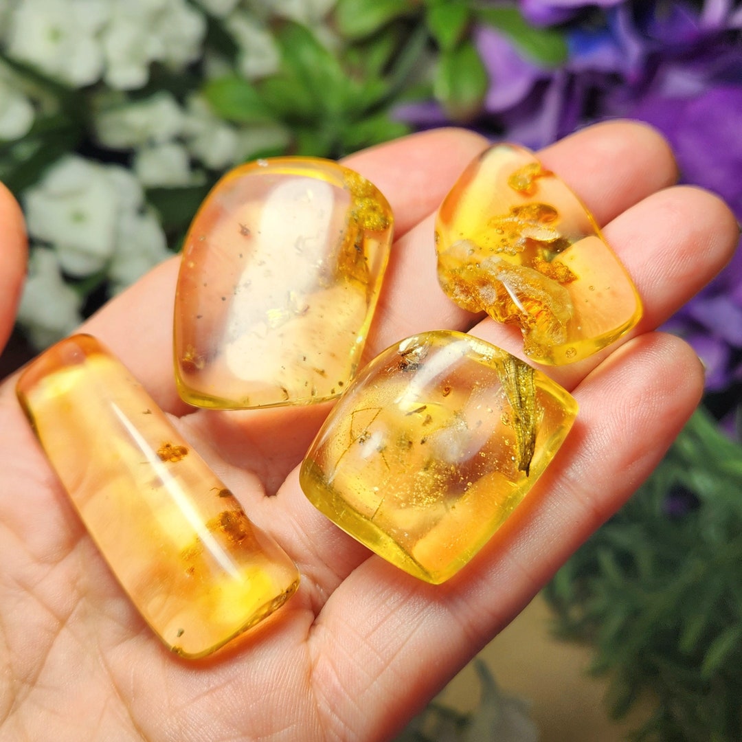 Amber Specimen With Insects: Natural Polished Amber Fossils & Bug ...