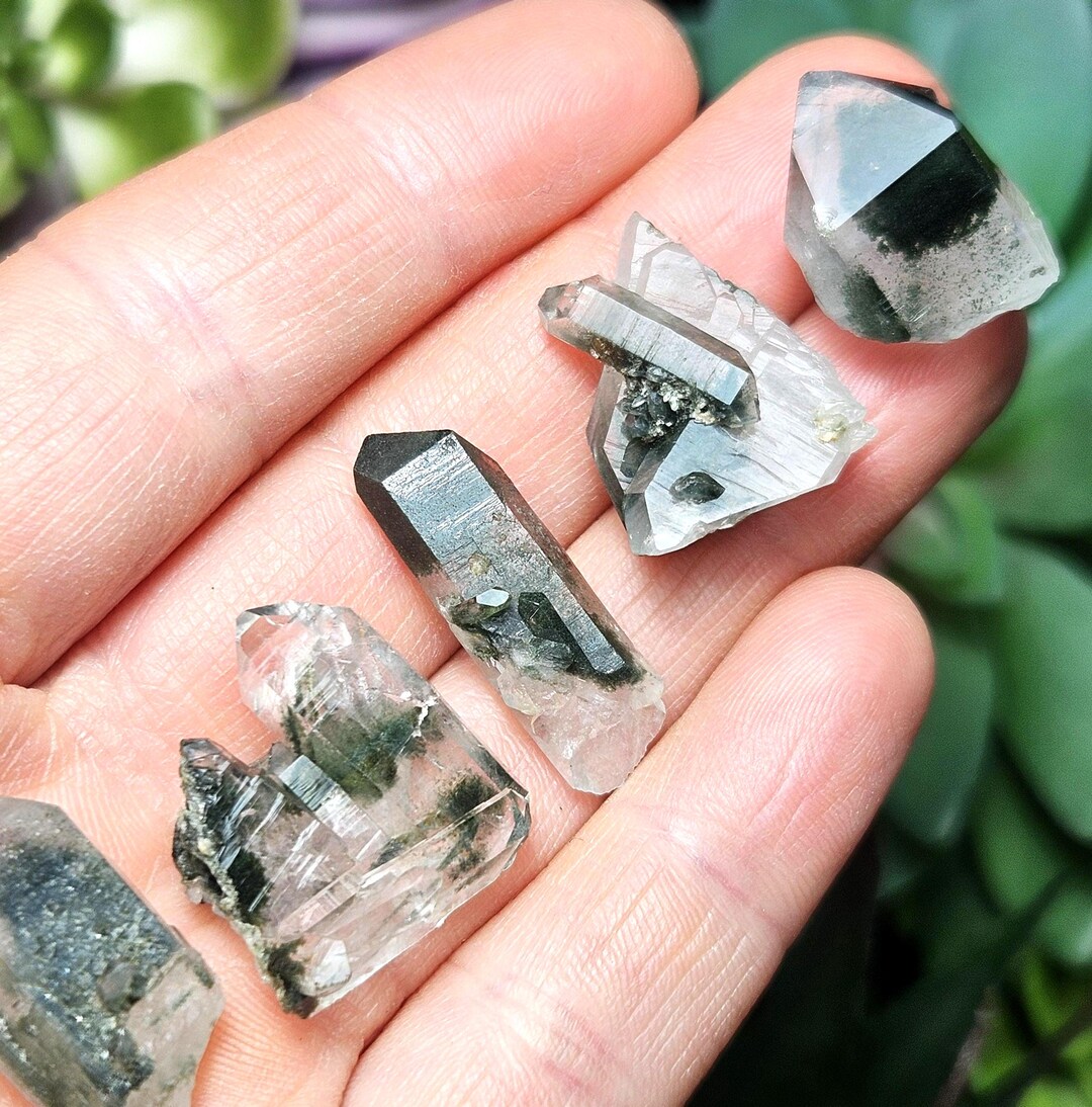 Himalayan Green Phantom Quartz Crystal: Sacred Chlorite Inclusion - Etsy