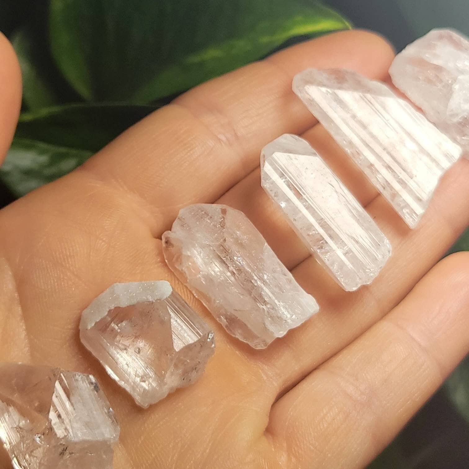 Raw Danburite Crystal Specimen: Mexican Danburite - Etsy