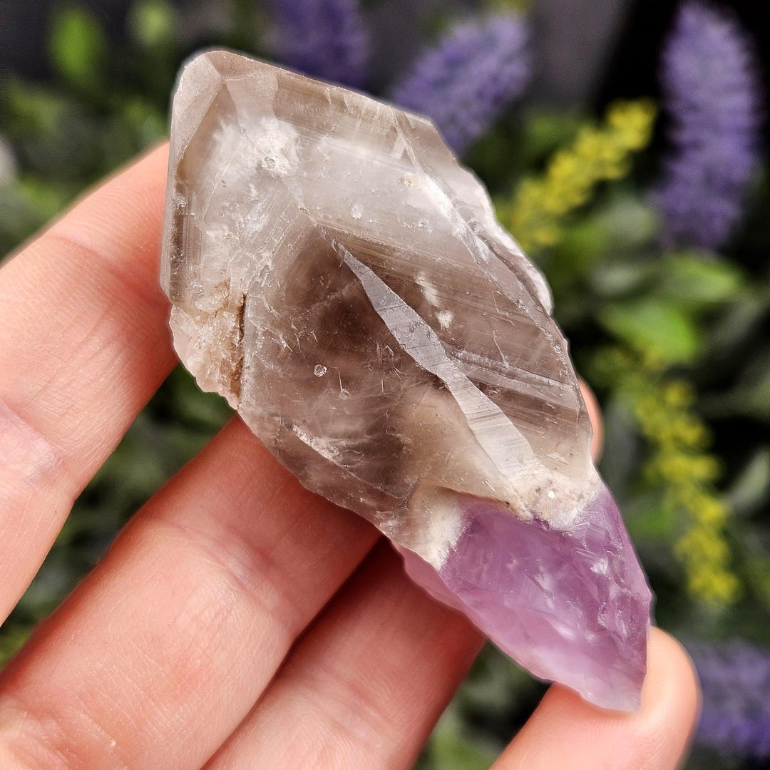 Dog Tooth Smoky Amethyst Crystal: Brazilian Chevron Quartz - Etsy