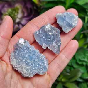 Celestite Cluster - Celestite Geode - Celestite Crystal - Blue ...