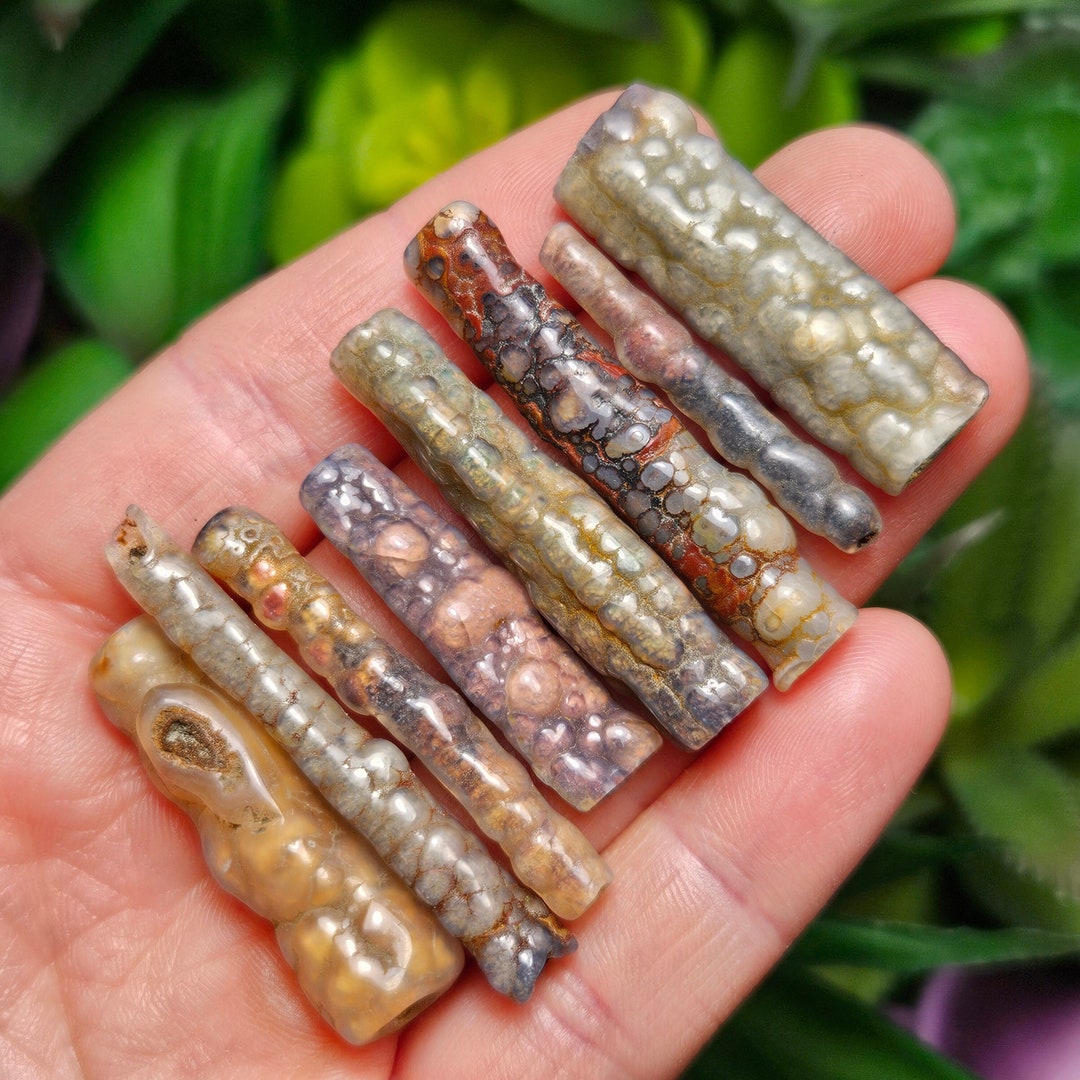 Bamboo Agate Stalactite / Botryoidal Chalcedony / Fossilized Bamboo ...