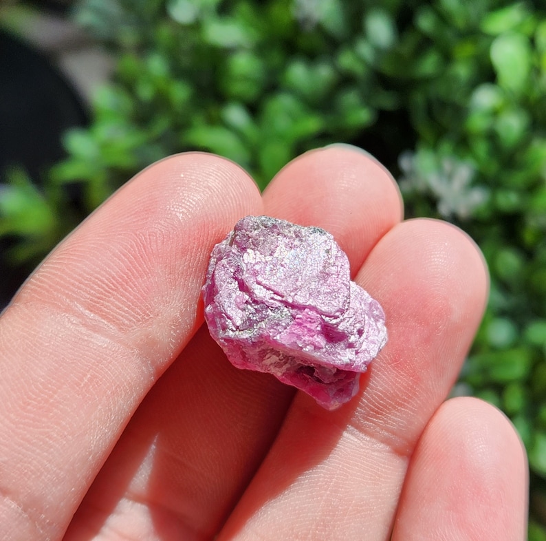 UV Reactive Ruby Crystal Specimen: Rough Ruby Stone in Matrix - Etsy