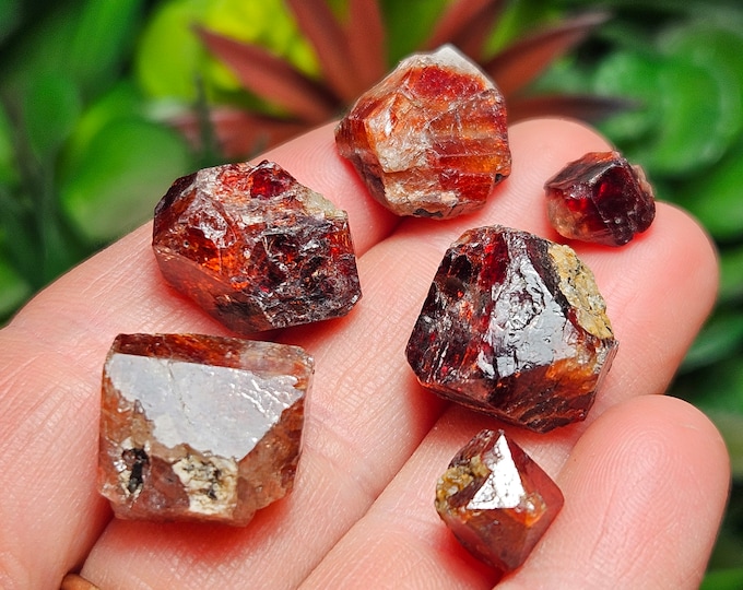 Crystal Quartz Skull - Etsy