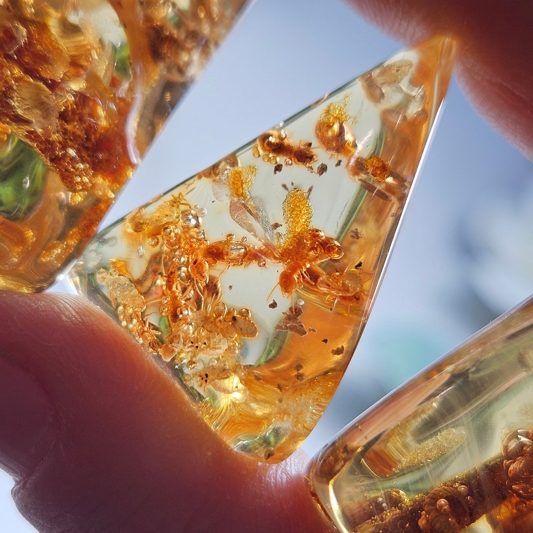 Amber With Bugs / Natural Amber / Amber With Insects / Insect Inclusion ...