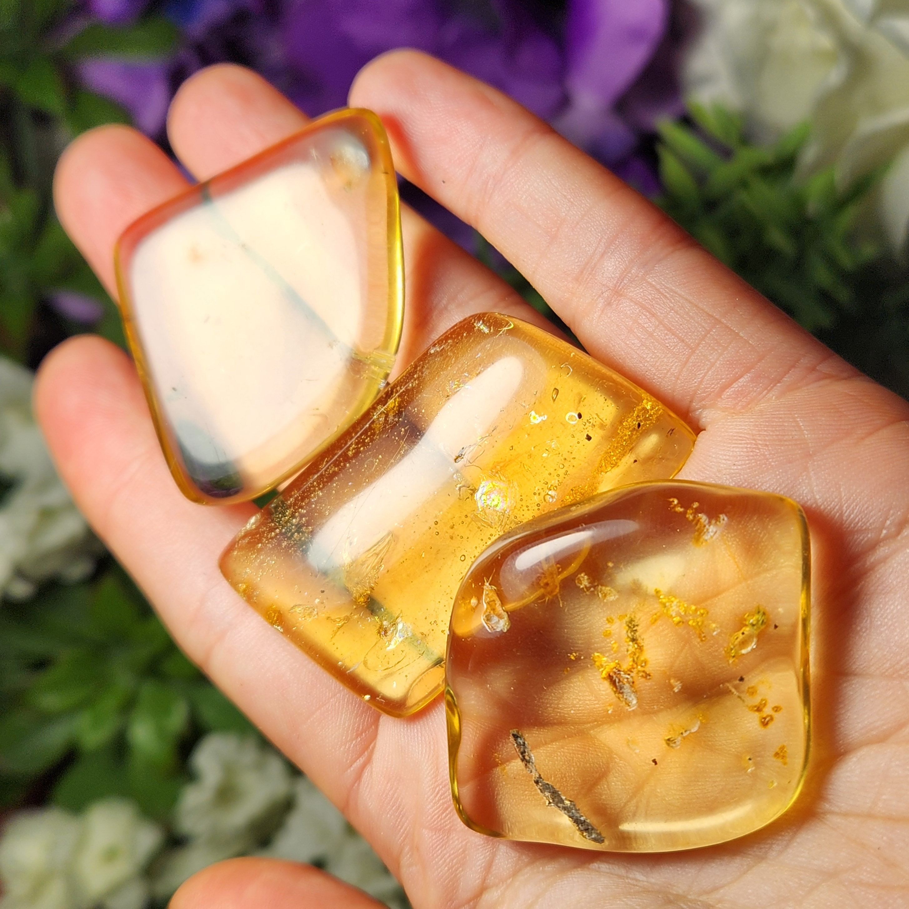 Amber Specimen: Natural Fossil & Insect Inclusion, Amber With Bugs - Etsy