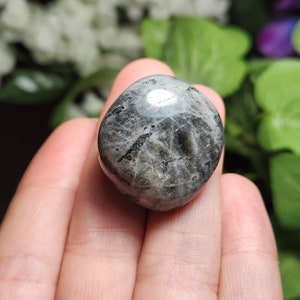 Anorthosite Crystal - Anorthosite Tumble - Anorthosite Tumbled ...