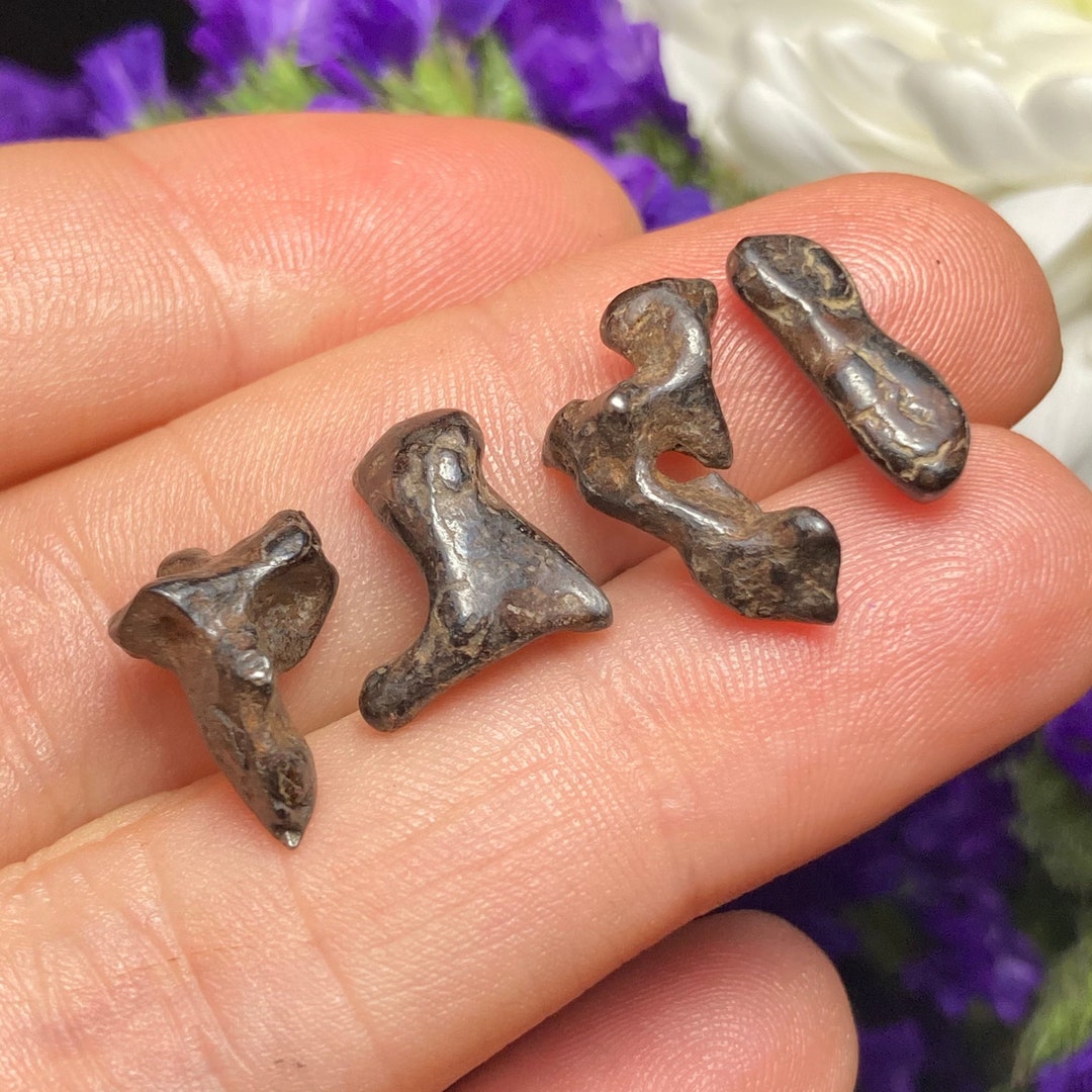 Meteorite - Pallasite Meteorite - Sericho - Sericho Meteorite ...