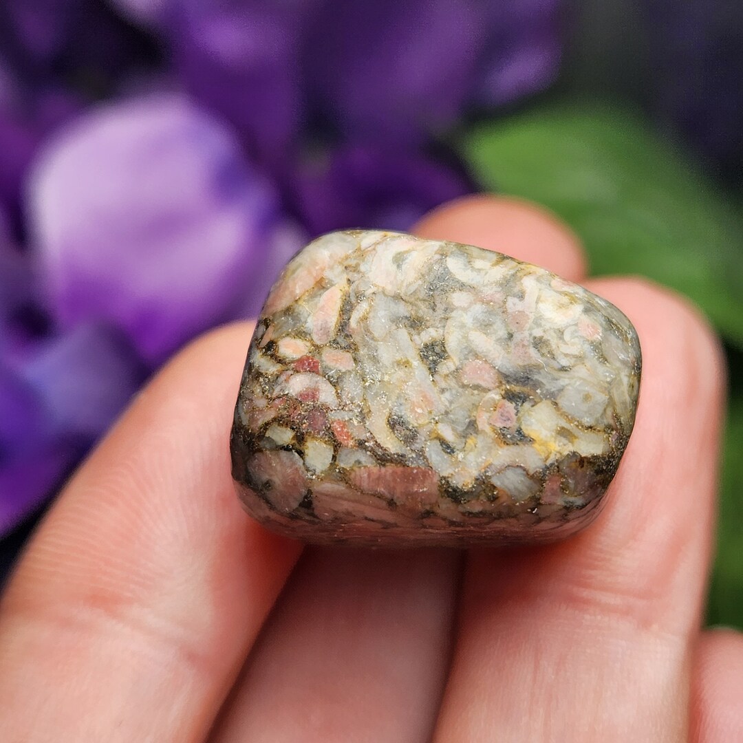 Crinoid Fossil Polished Fossil Fossil Rocks Marine Fossils Sea